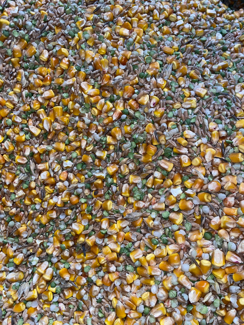 Animal feed grain – Grandpa Johns Farm